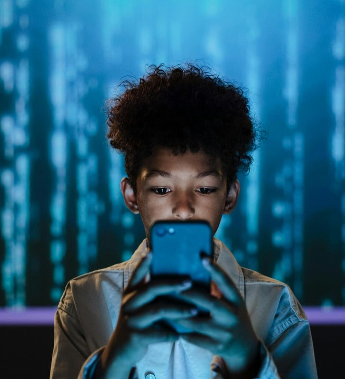 The Phone - The phone without internet to disconnect